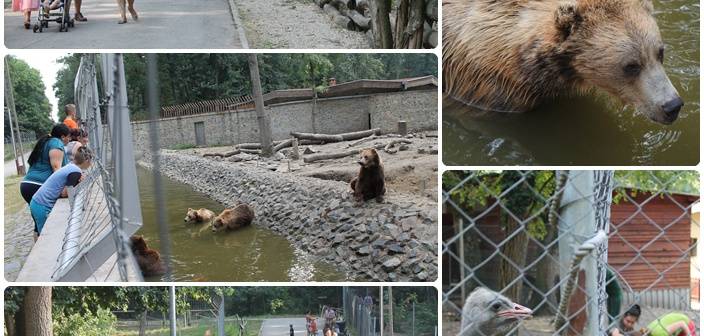 Intrare gratuita la Gradina Zoologica din Timisoara, pana duminica! Zoo ...