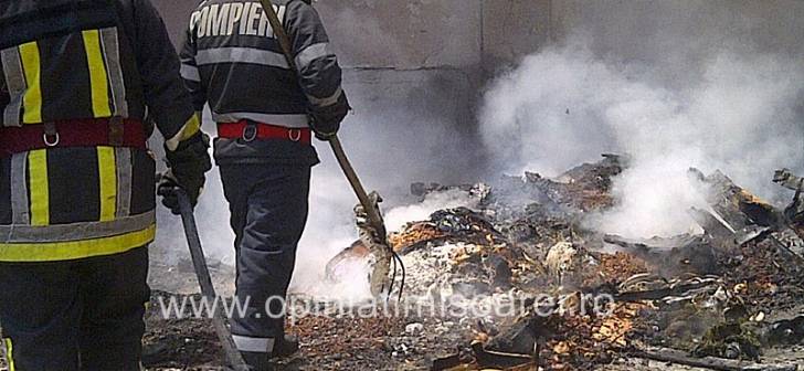 Incendiu puternic in Freidorf, la fosta fabrica de ulei! Mai multe ...