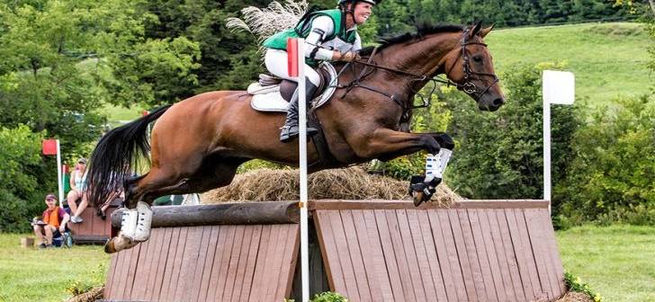 Derby-ul Romaniei la echitatie revine in Banat dupa 100 de ani ...