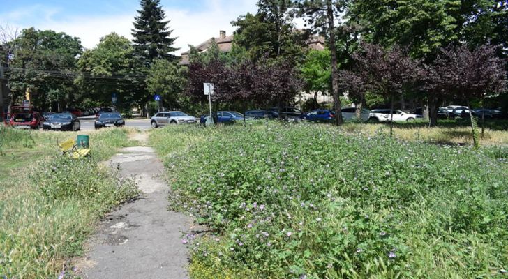 Prefectul Mihai Ritivoiu cere Garzii de Mediu si Directiei Agricole sa ... Prefectul Mihai Ritivoiu cere Garzii de Mediu si Directiei Agricole sa ...