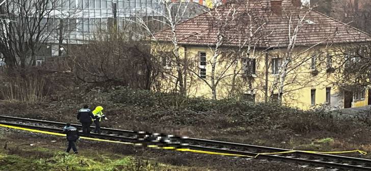 Tragedie pe calea ferata. Cadavru descoperit pe linia de tren, in ...