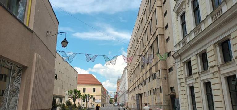 Fluturii de aproape 40.000 de euro au 'zburat' de pe strada Alba Iulia ...