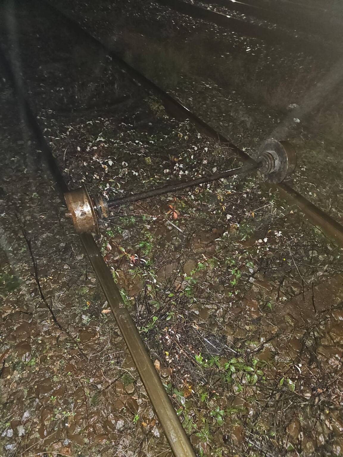 Sabotaj pe calea ferată? Un tren care venea la Timișoara a lovit o osie ...